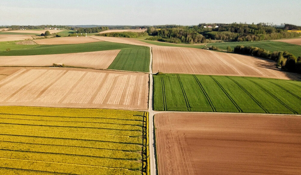 Importancia del barbecho para mantener la humedad del suelo