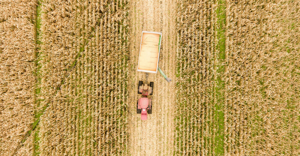 Las claves más importantes para tener una buena cosecha.