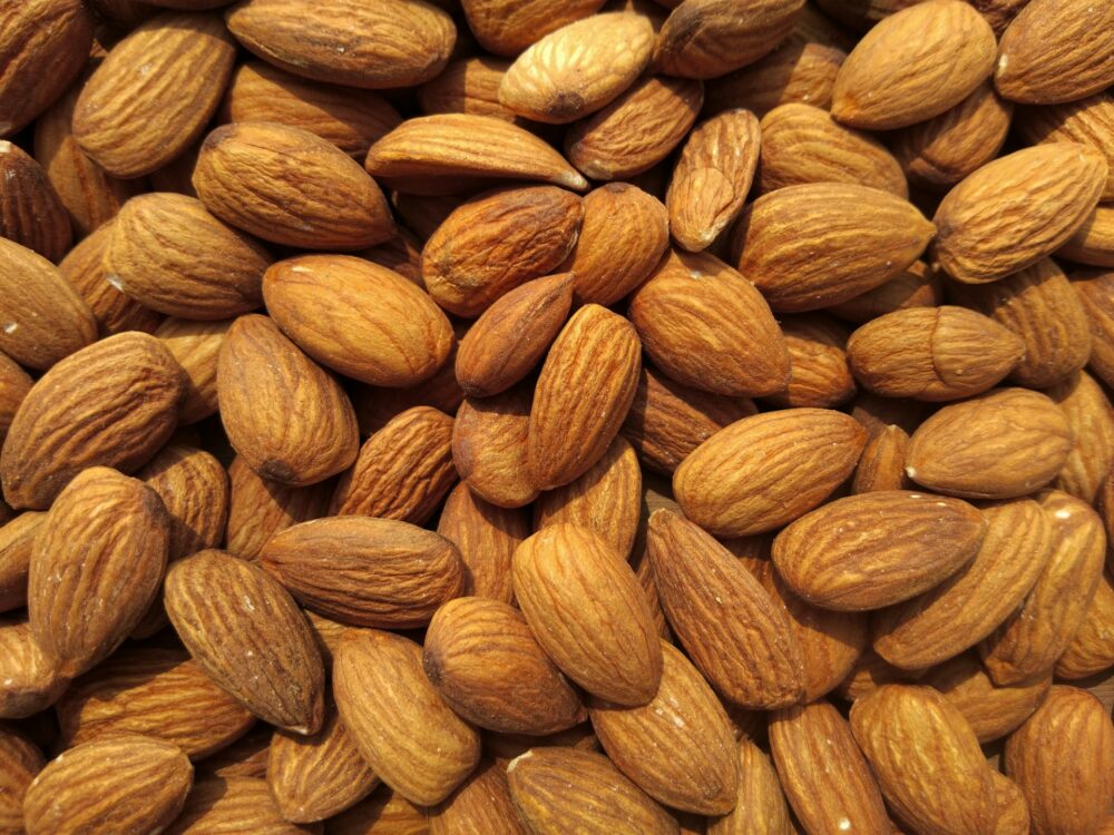 Todo lo que necesitás saber sobre el almendro - Rotoplas Agroindustria