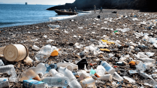 Basura en mares - Rotoplas Argentina